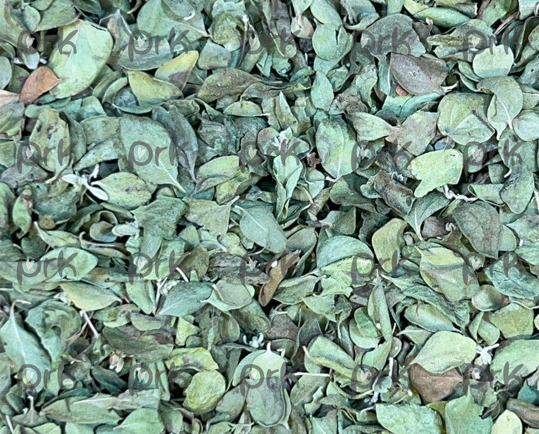 Common medicinal plants - 10 Most Common Medicinal Plants - Parastook