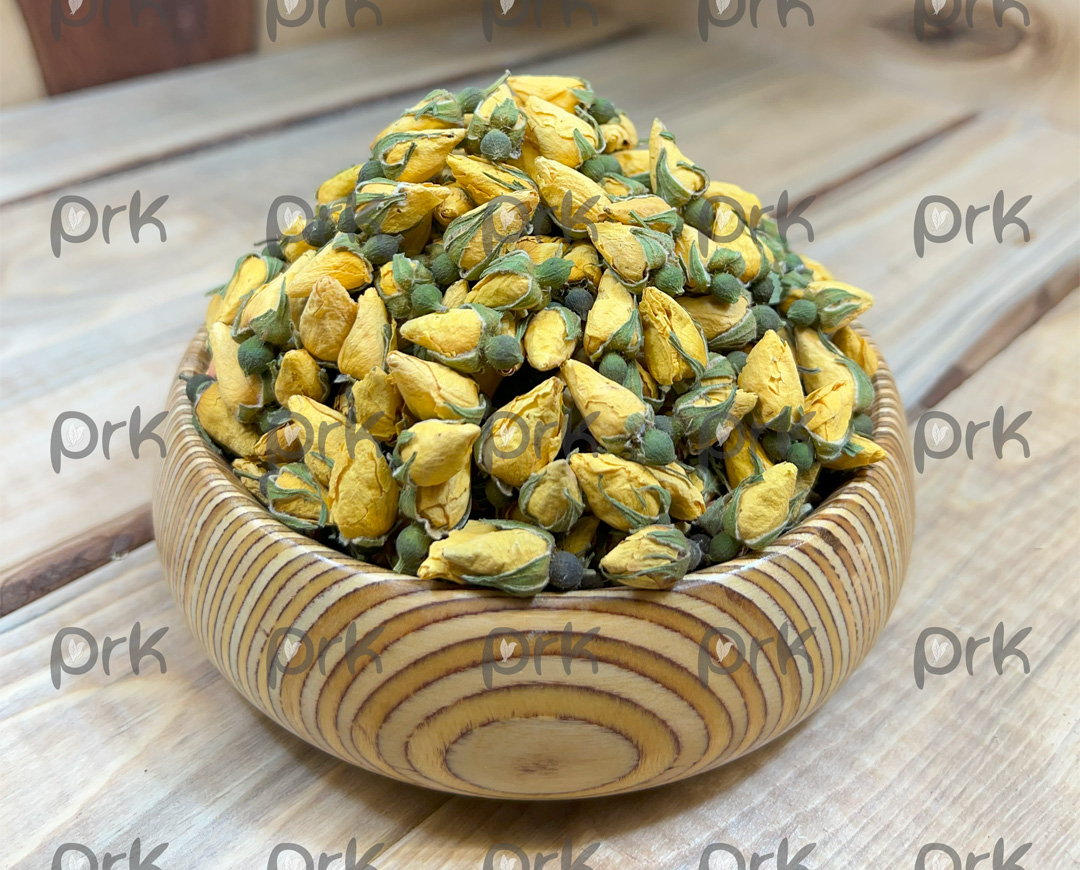 Iranian Yellow Rose - Yellow Nasturtium - Yellow Eglantine - Plant ...